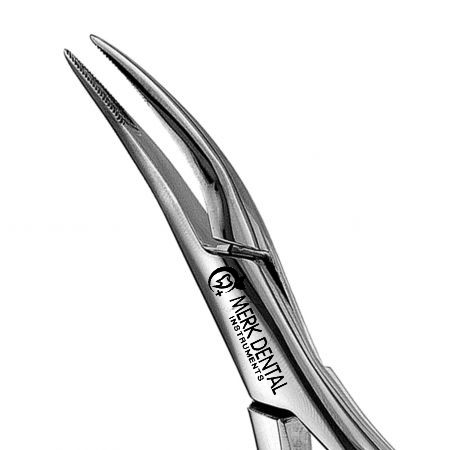 300 ROOT FORCEPS, SERRATED / MDI-S-0869 – Merk Dental Instruments