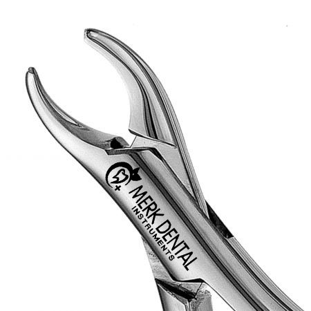150 PEDODONTIC FORCEPS / MDI-S-0823 – Merk Dental Instruments
