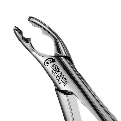 150AS SPLIT BEAK FORCEPS, SERRATED / MDI-S-0825 – Merk Dental Instruments