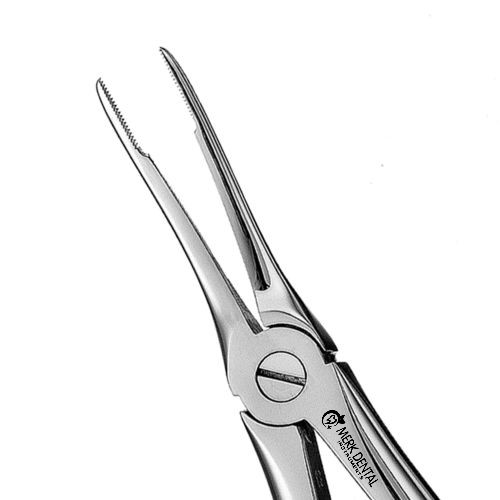 49 EUROPEAN STYLE ROOT FORCEPS, SERRATED / MDI-S-0893 – Merk Dental ...